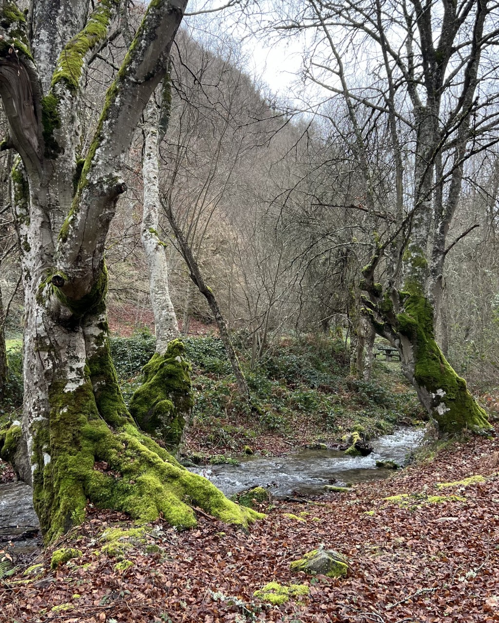 La Rioja: Tu Próximo Destino de Paisajes, Bodegas y Gastronomía Única